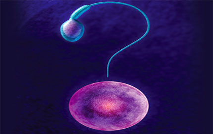 APS: What Rheumatologists Should Know about Hughes Syndrome - The ...