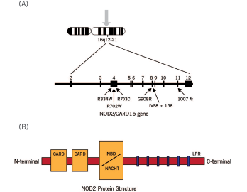 Fellows' Forum Case Report: Autoinflammatory Diseases and Roles of ...