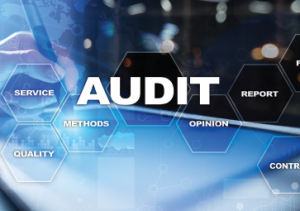 Different Payer Audits Require Different Preparation & Response - The ...