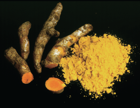 Turmeric: The Evidence for Therapeutic Use for Arthritis - The ...
