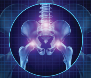 Insights on the Diagnosis & Treatment of Low Back & Hip Pain - The ...