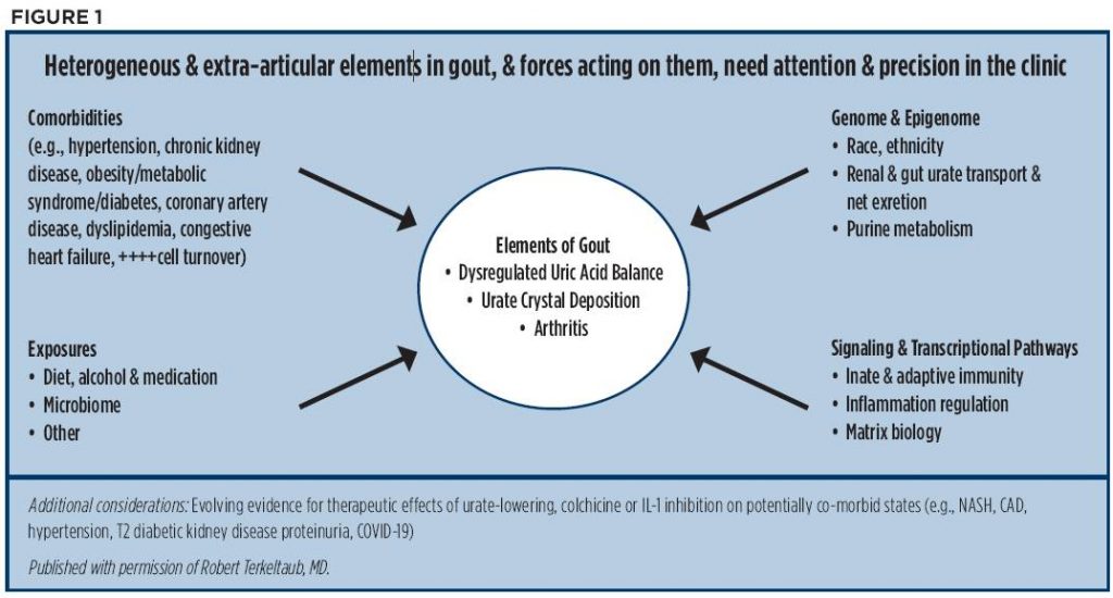Optimize Gout Management with the Latest Evidence-Based Guidance - The ...