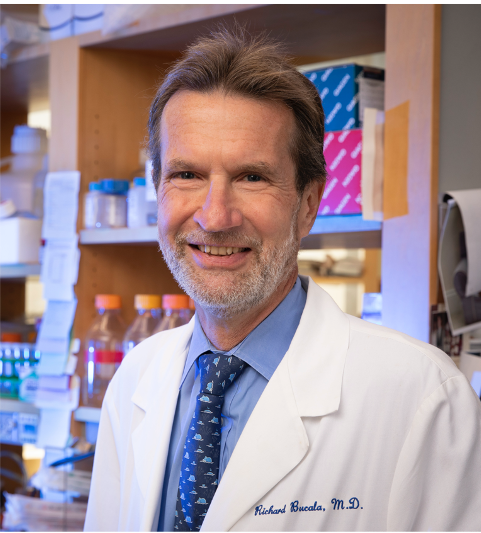 A Look Back at the First Use of Cortisone in Rheumatoid Arthritis - The ...