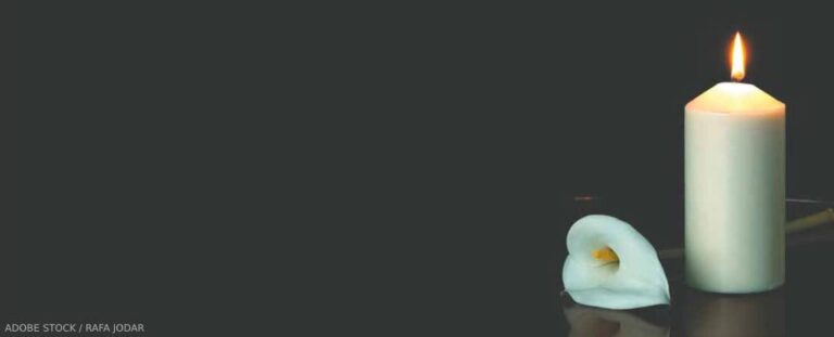 In Memoriam: Remembering Dr. David Templin - The Rheumatologist